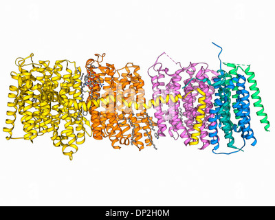 Oxidoreductase enzyme complex. Molecular model of a complex of NADH ...