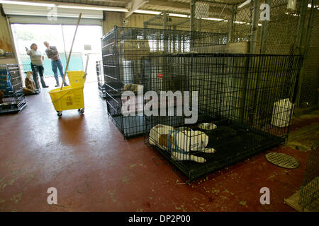 Jun 09, 2006; San Antonio, TX, USA; Kennel attendant Suzanne Meza works ...
