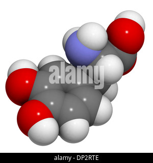 L-DOPA (levodopa) Parkinson's disease drug molecule Stylized skeletal ...