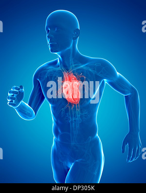 Runner heart, artwork Stock Photo - Alamy