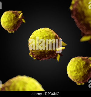 Mono virus, artwork Stock Photo - Alamy