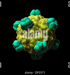 Bacteriophage X-174 particle, artwork Stock Photo - Alamy