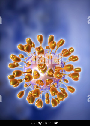 Avian Influenza A Virus (H5N1/Bird Flu) Colorized transmission electron ...