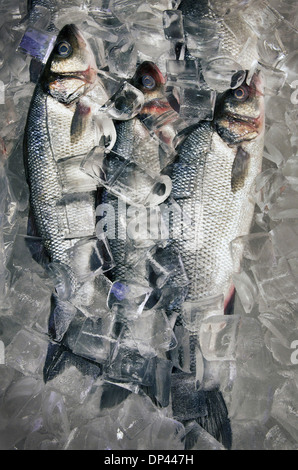 fresh fish packed in ice Stock Photo - Alamy