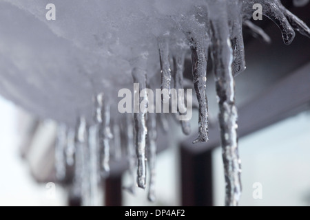 Icicle forming by melting snow Stock Photo - Alamy