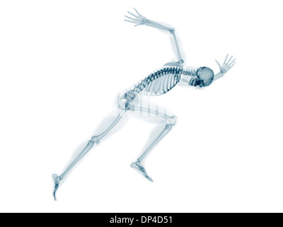 Skeleton sprinting, artwork Stock Photo - Alamy