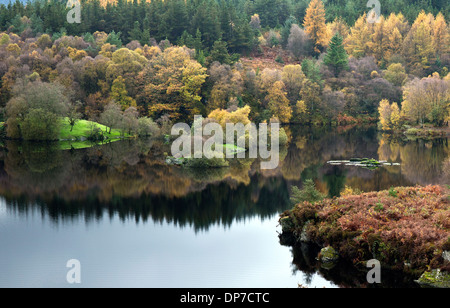 Llyn Elsi mountain lake in Gwydyr Forest above Betws-y-Coed Snowdonia ...