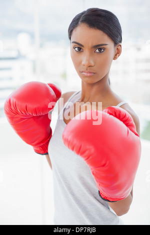 Female model boxing Stock Photo - Alamy