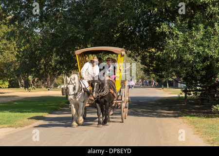 18th century transportation, Colonial Williamsburg Virginia Stock Photo ...