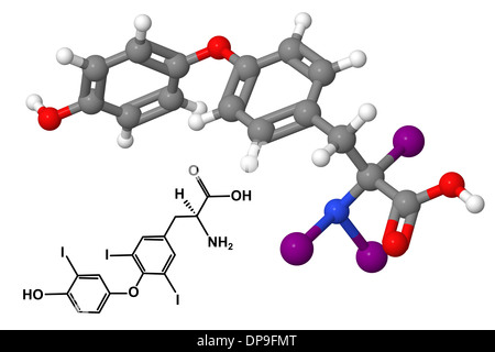 Chemical structure of a triiodothyronine (T3) molecule, thyroid hormone ...