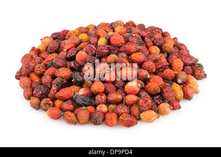 Dry briar isolated on white background Stock Photo - Alamy