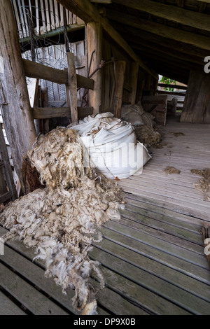 Wool bales in shearing shed, Glenburn, Wairarapa, North Island, New ...