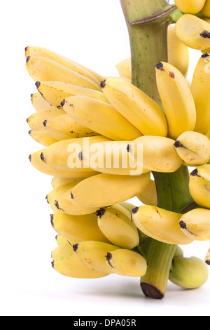 Banana bunch cluster isolated on white background Stock Photo - Alamy