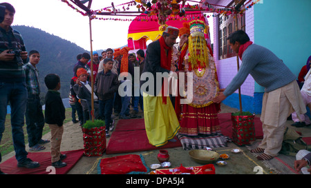 Bridegroom at traditional Hindu Gaddi Himachal Pradesh village wedding ...