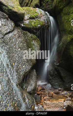 Burn O Vat Waterfall Dinnet Scotland Stock Photo - Alamy
