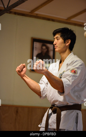 Isshinryu karate Stock Photo - Alamy