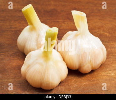 Three garlic bulb close up on gray wooden table Stock Photo - Alamy