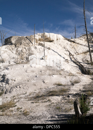 New Highland Terrace, Mammoth Hot Springs, Yellowstone National Park ...