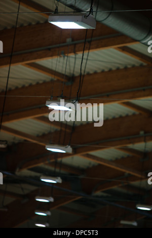 Group of electric lamps on sport stadium celling indoor. Light power ...