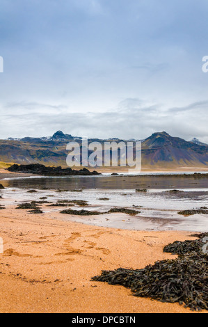 Beach near Budir, Snaefellsnes Peninsula, Iceland Stock Photo - Alamy