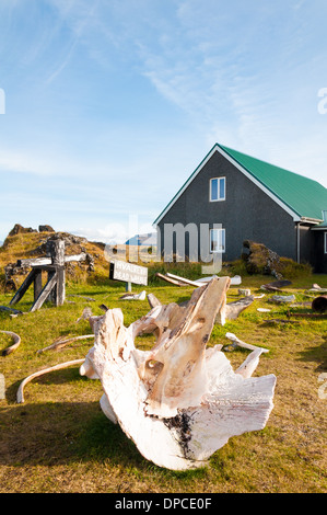 Traditional Icelandic Turf House with Whale Bones and Mountain Range ...