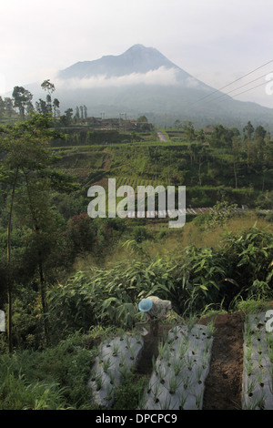 Farmer village near Mt Merapi Indonesia volcano Stock Photo - Alamy