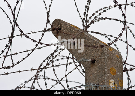 Barbed wire fence. Razor wire. Restricted area. Crime and punishment ...