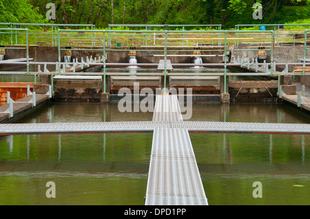Oxbow Fish Hatchery, Columbia River Gorge National Scenic Area, Oregon ...