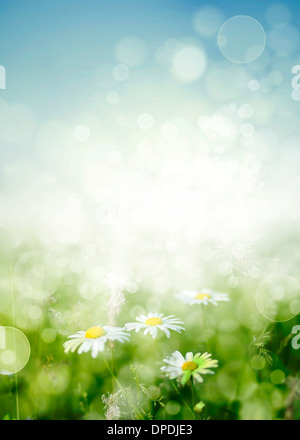 Shiny Spring Natural Background. Illustration Stock Photo - Alamy