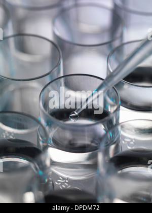 Pipetting sample into a multiwell sample tray Stock Photo - Alamy