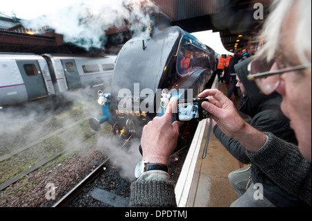 Class A4 British Railways No. 60006 (formally known as the Herring Gull ...