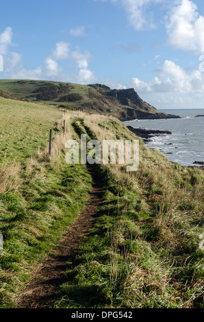 The Devon coastline around Start Bay in the South Hams Stock Photo - Alamy