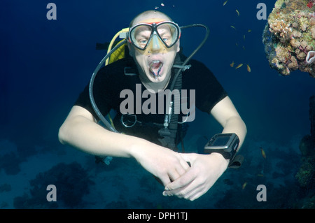 Male scuba diver and cleanerfish (Labroides dimidiatus), Red Sea, Egypt ...