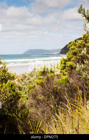 beach near melbourne Stock Photo - Alamy