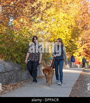 People walk their dogs in a park in Frankfurt, Germany, Thursday, June ...