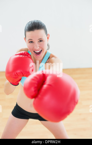 Smiling female boxer practicing in the boxing ring Stock Photo - Alamy
