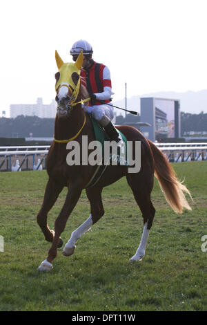 Kyoto, Japan. 12th Jan, 2014. Win Full Bloom Horse Racing : Win Full ...