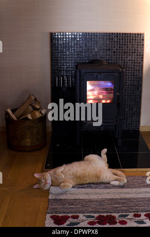 Stove and cat Stock Photo - Alamy
