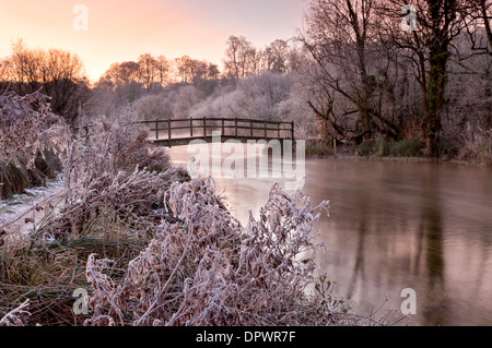 The Bush Inn at Ovington. Hampshire. England. UK Stock Photo - Alamy