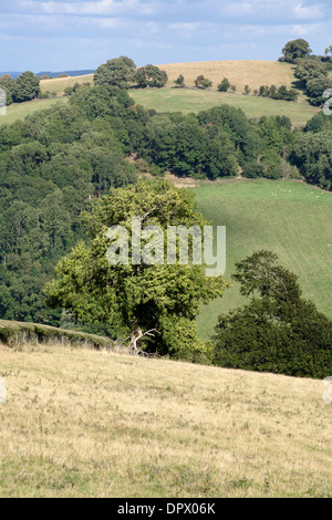 Clun, Shropshire, GB, United Kingdom, England, N 52 25' 10'', S 3 2' 13 ...