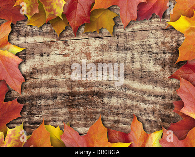 Framework with Autumn yellow, orange and red vegetables and fruits on ...