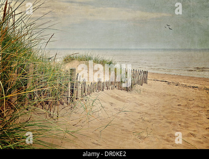 Ocean beach scene of sea grass on seashore sand. Natural outdoor scenic ...