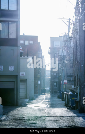 Alley in Chicago, Illinois Stock Photo - Alamy