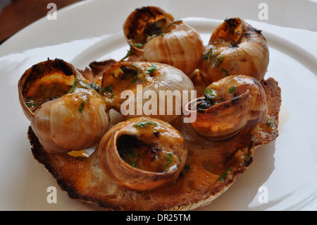 Escargot (snails) served at fine dining restaurant Bibendum in ...