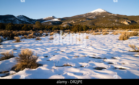 Winter landscape in Great Basin National Park Stock Photo - Alamy