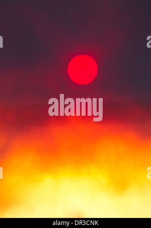 Sun through smoke filled sky and Palm Trees, La Jolla, California Stock ...