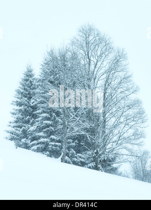 Winter mountain foggy dull day snowfall landscape Stock Photo - Alamy