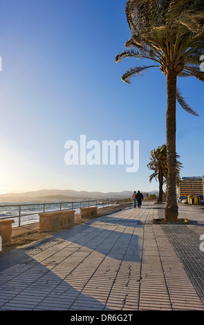 Promenade, Avinguda de Gabriel Roca and Marina port in Palma de ...