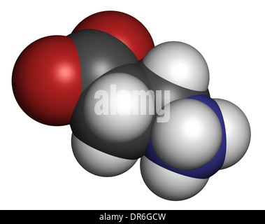 Beta-alanine molecule. Naturally occurring beta amino acid. Precursor ...