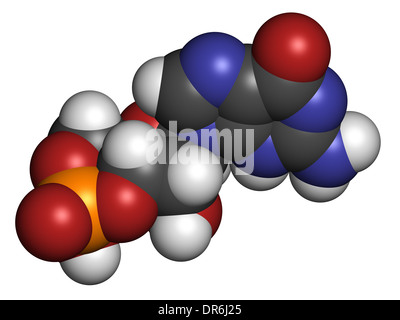 Cyclic guanosine monophosphate (cGMP) molecule. Important second ...